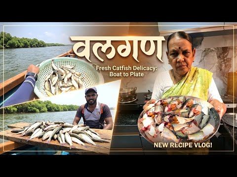 Valgan | जालांना लागली चिवणी | आईने बनवला गाबोळीच्या चिवण्यांचा कालवण | Fishing & Cooking | Recipe 
