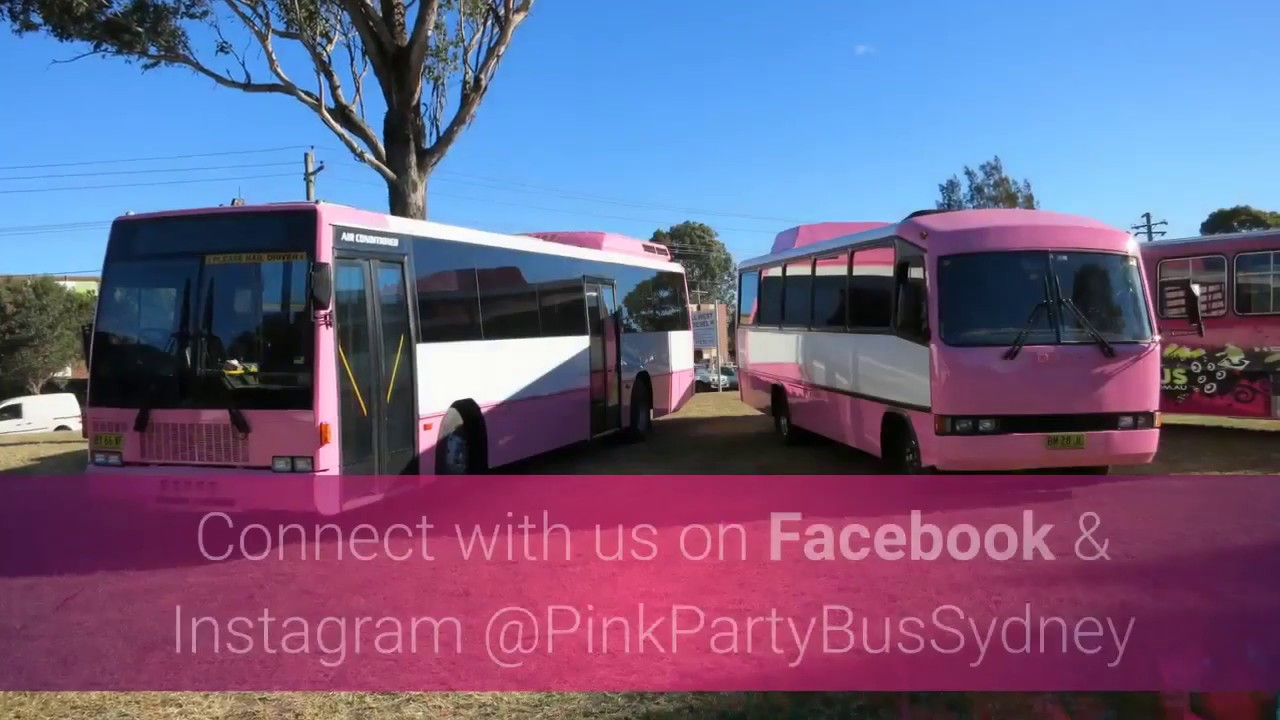 PINK PARTY BUS SYDNEY - YouTube