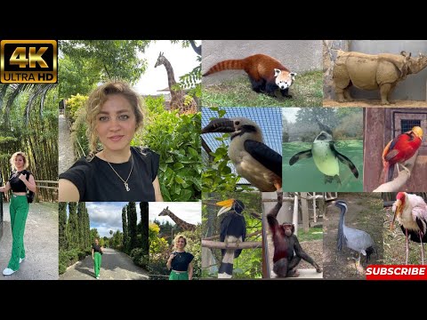 🇹🇷 Turkey Best Zoo in Istanbul Faruk Yalçın hayvanat bahçesi 4K