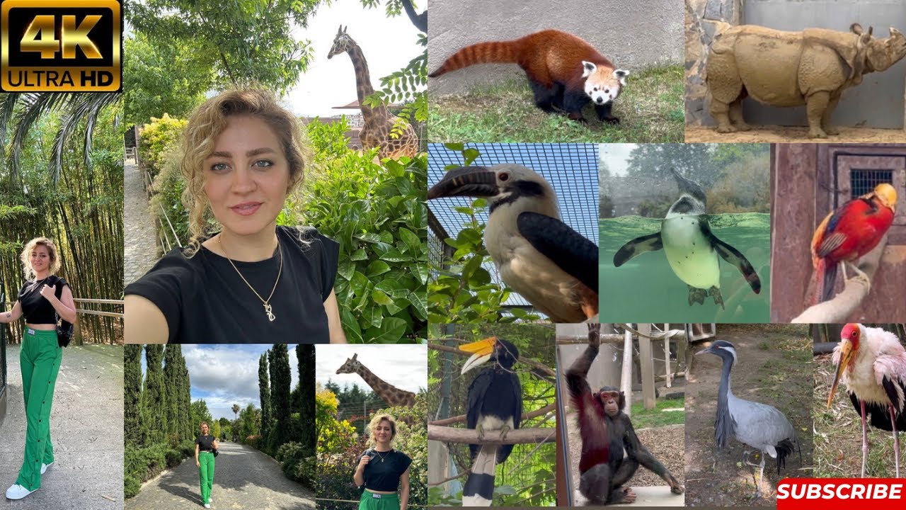 🇹🇷 Turkey Best Zoo in Istanbul Faruk Yalçın hayvanat bahçesi 4K - YouTube