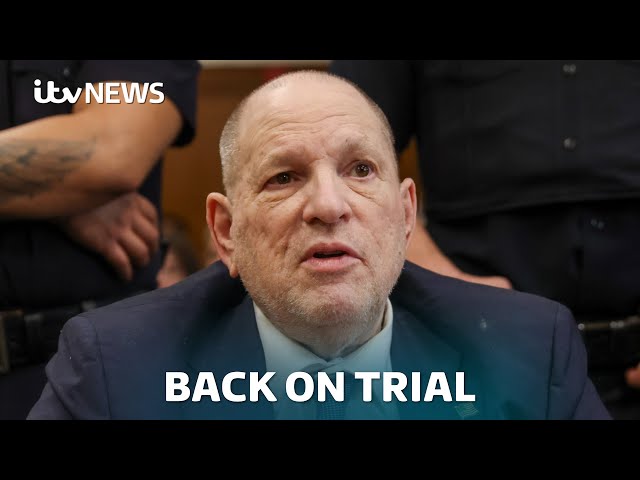 Harvey Weinstein Memes