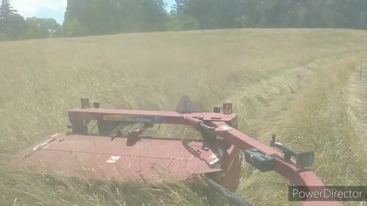 Cleaning out the barn. Cutting hay. Couple clips from the other day ...