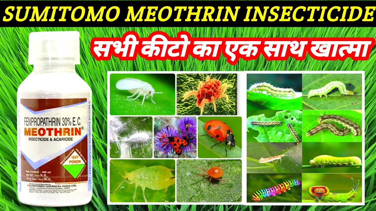 Meothrin Insecticide|sumitomo| Fenopropathrin-30%EC| meothrin ...
