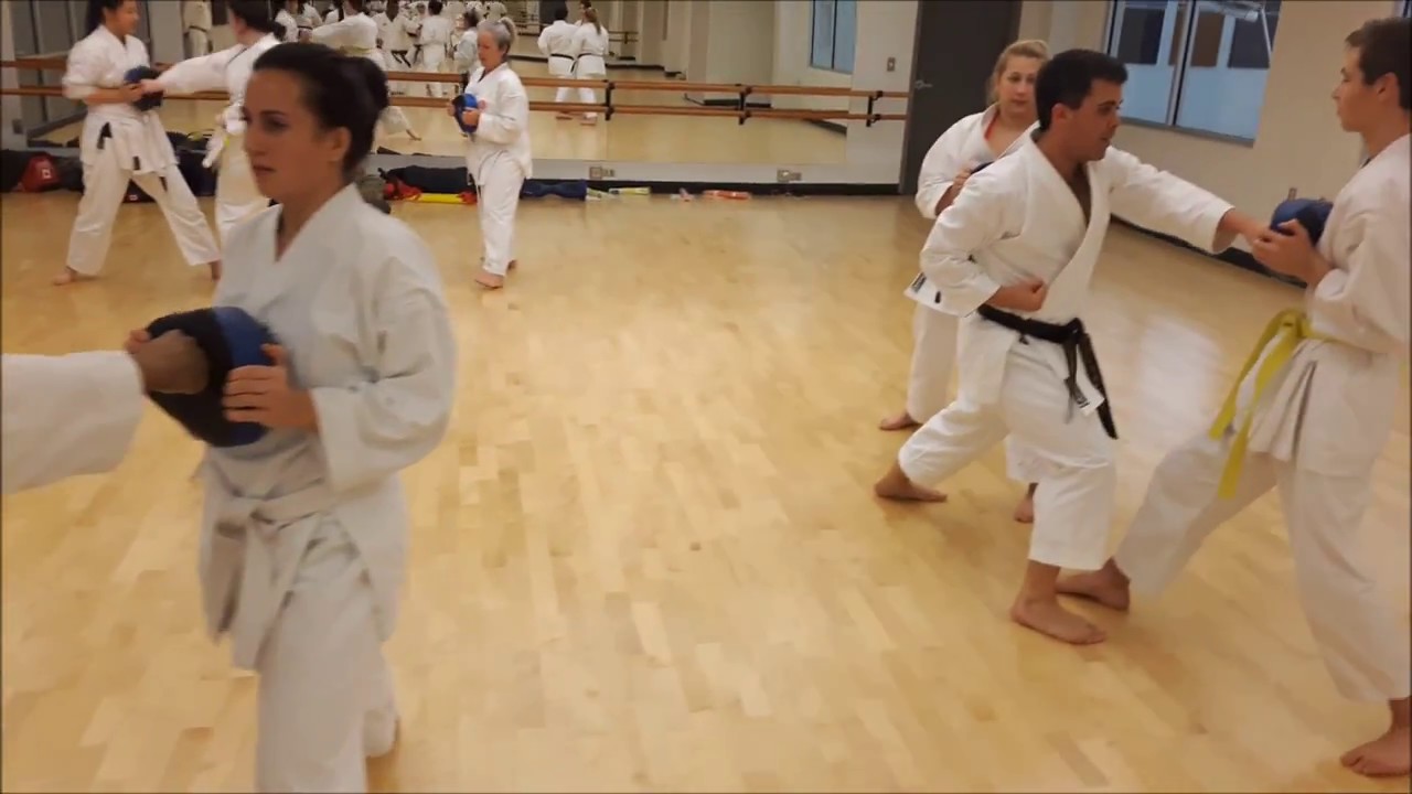 Dojo Footage Jan 17 2017 - YouTube