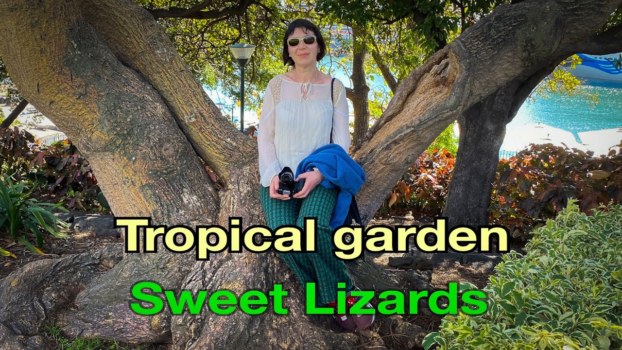 Vlog 12 - Tropical garden and sweet little lizards - YouTube