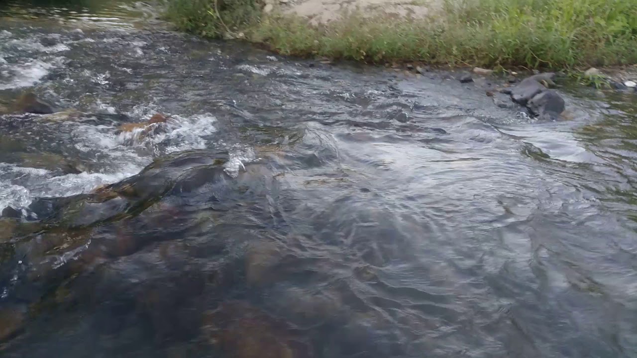 Río Chuta , Michoacán - YouTube