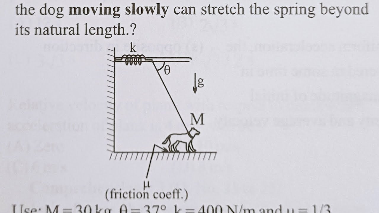 Dog String and Spring with Friction Case In #nlm #jee #friction #neet ...