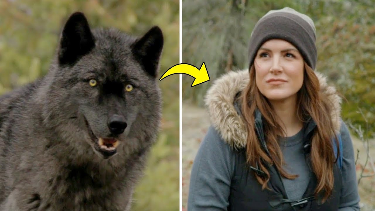 She Forges a Bond With Wolves as She Tries to Rescue Her Son From a ...