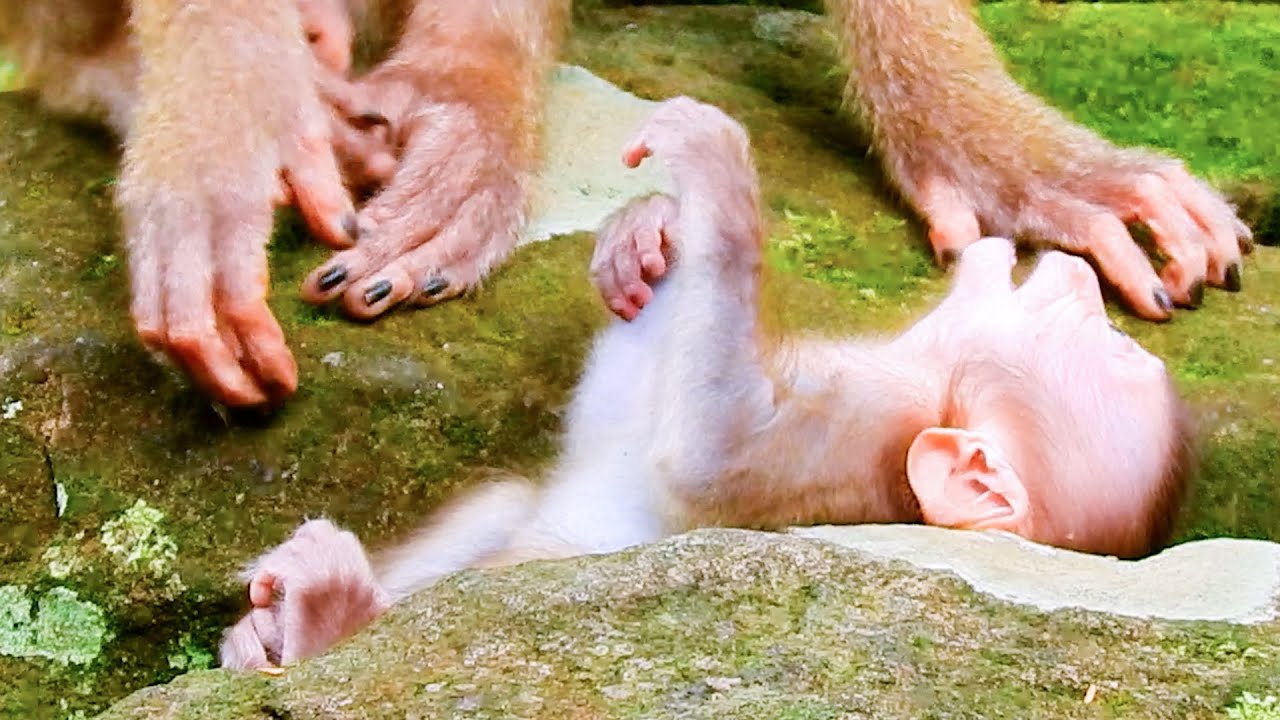 Help Me mommy! - YouTube