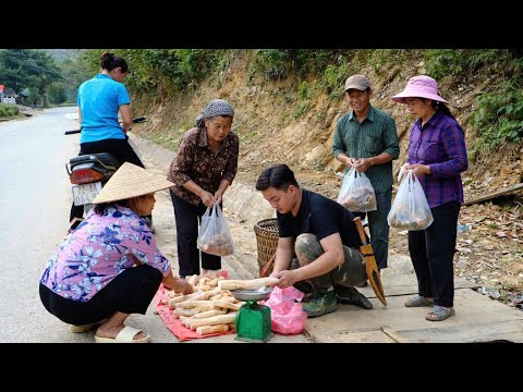 Harvesting Cassava — Cooking a Simple Meal from the Garden
