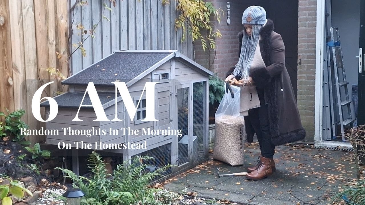 6 AM - YouTube