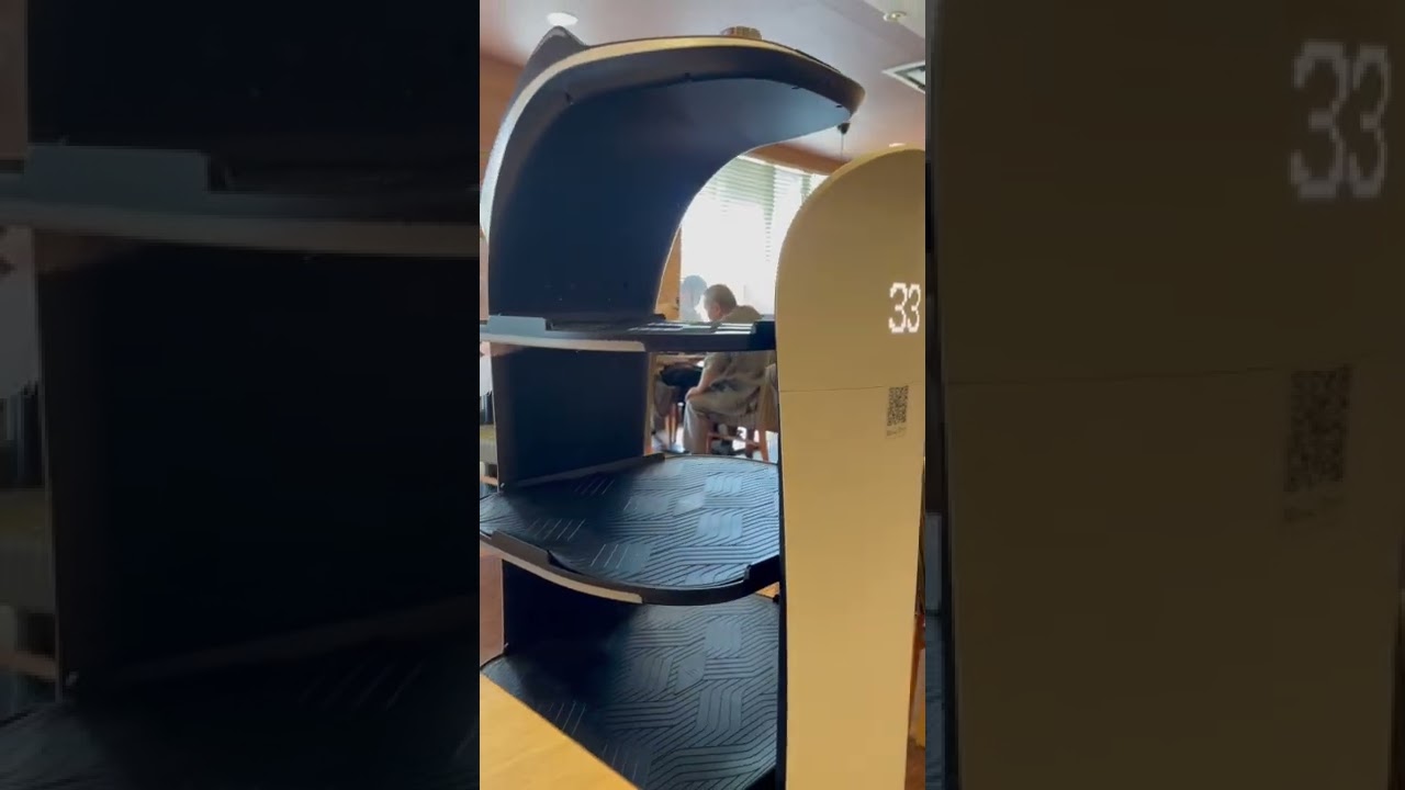 The new talking Cat server Robot in Japan.😮 domo arigatou mr. roboto 😊 ...