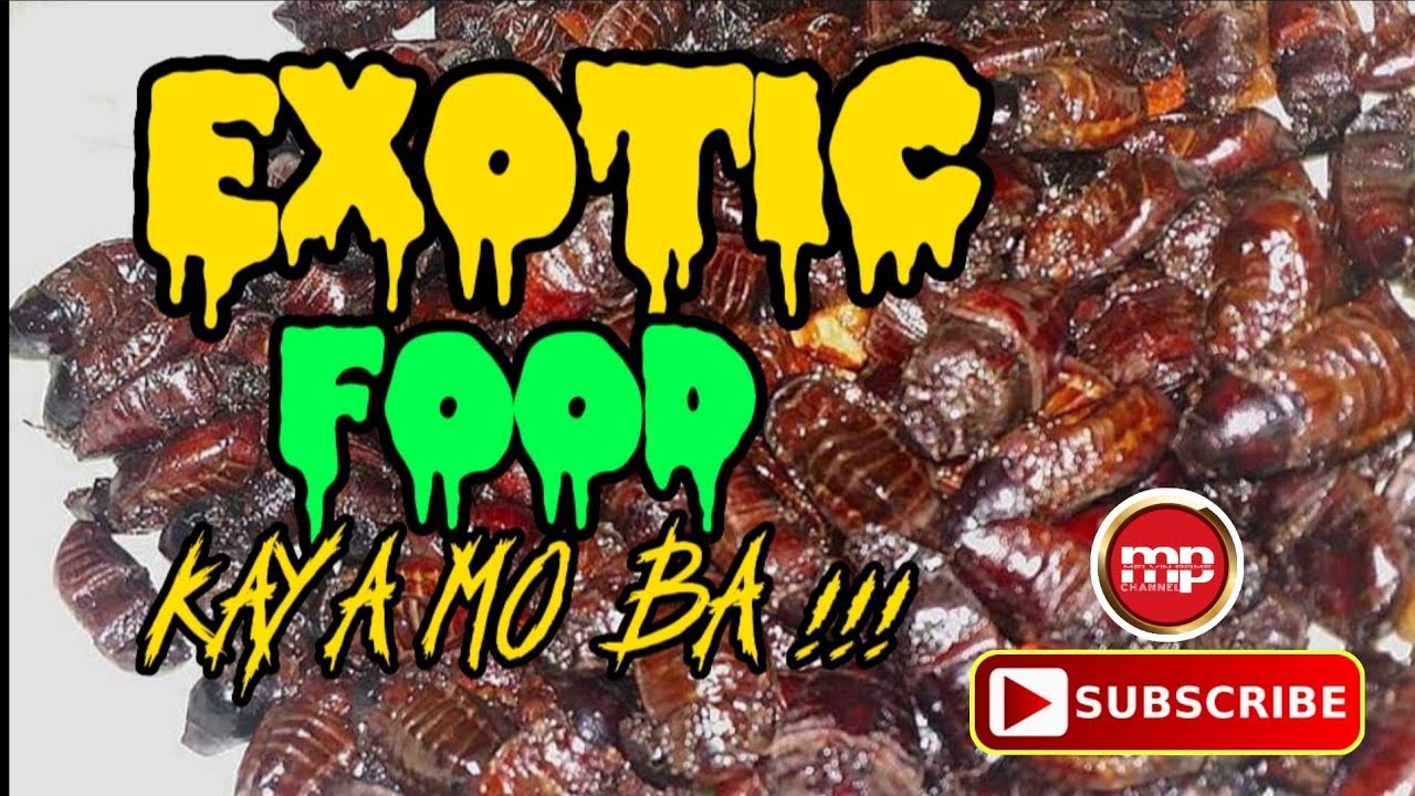 EXOTIC FOOD KAYA MO BA KAININ || @lakbaymuseoph2260 ...