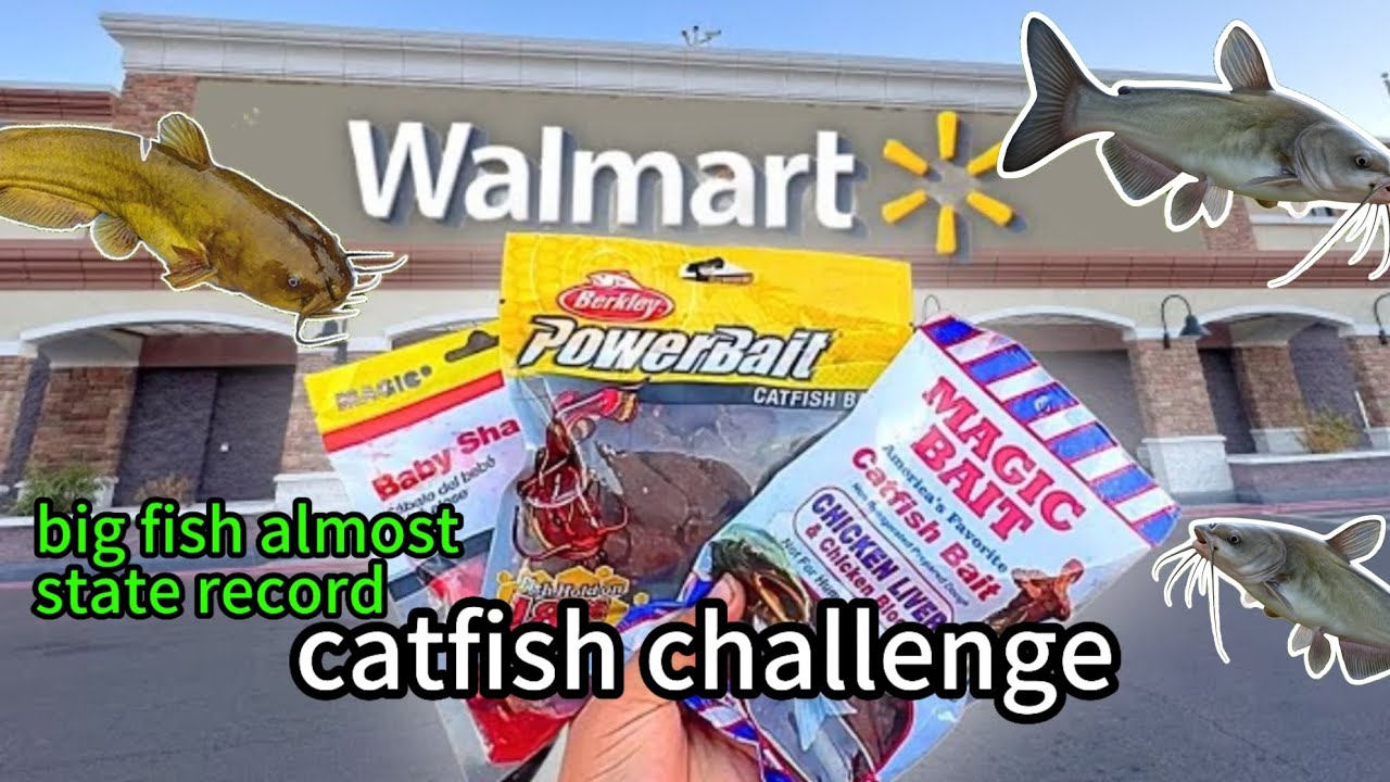 Walmart catfish challenge. ( Big fish almost state record) - YouTube