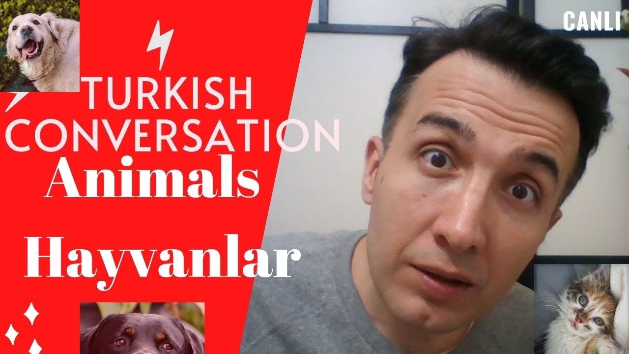 Live | Let's Talk Turkish-Türkçe Konuşalım/ Turkish Conversation-Türkçe ...