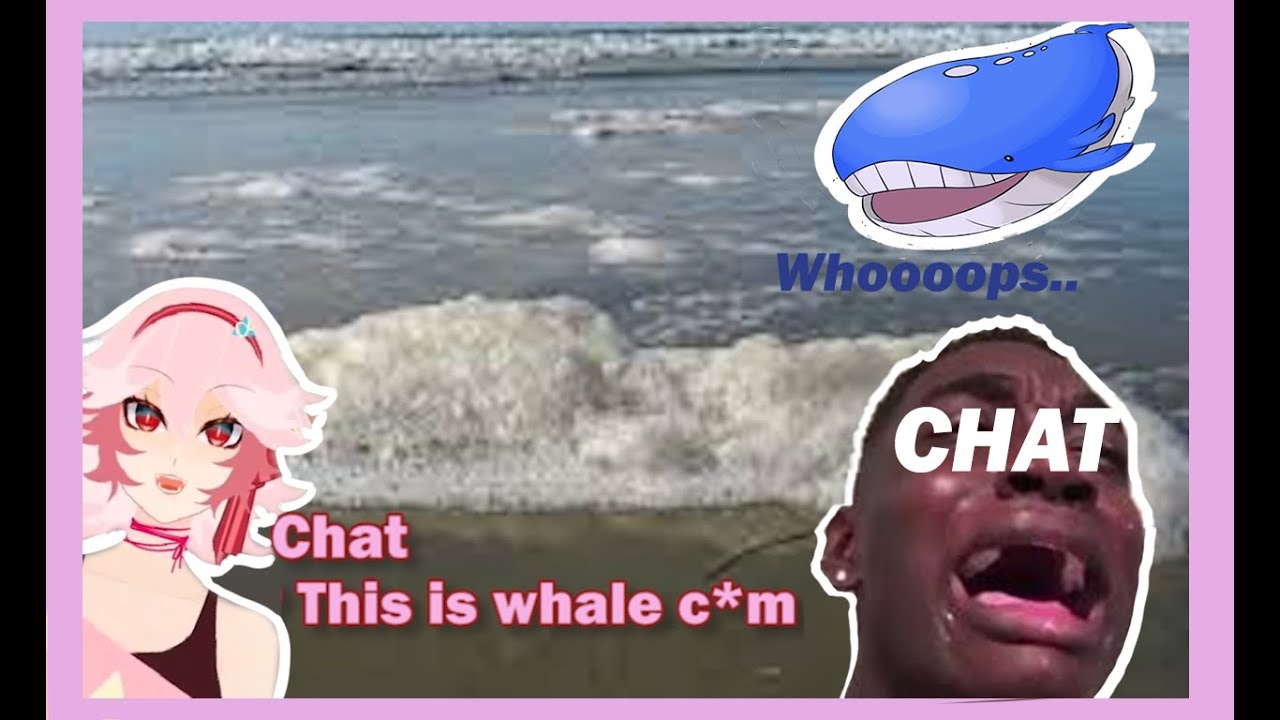 Beach themed Vtuber destroys viewers' perception on washed up seafoam ...