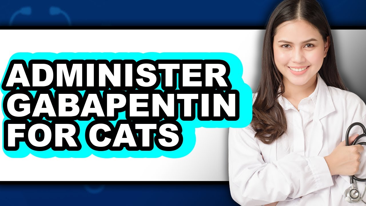 How to Administer Gabapentin for Cats (Full Guide) - YouTube