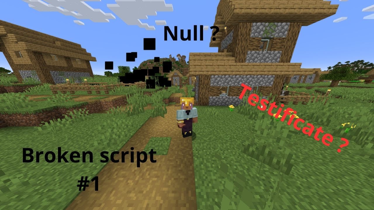 Broken script #1 : Testificate ? Null ? #brokenscript #minecraft - YouTube