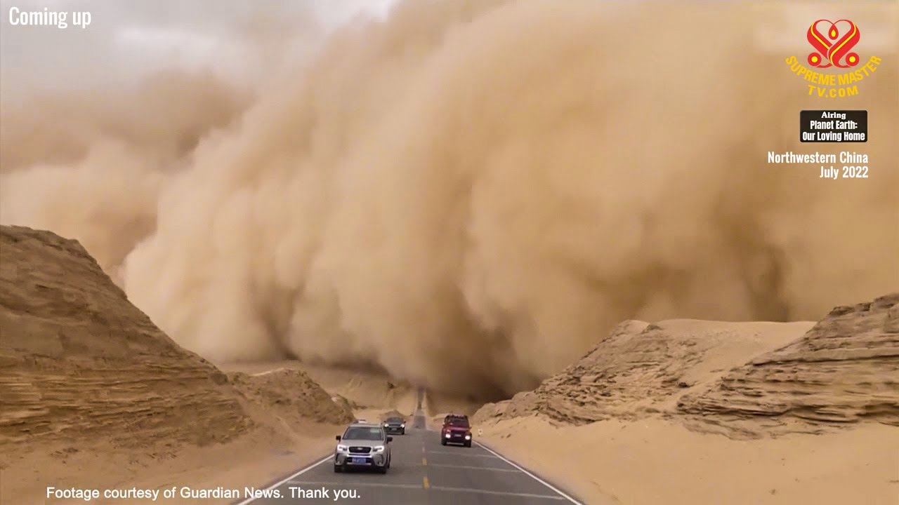 1827 PE Dust and Sandstorms: Signs from Nature to End Animal-People ...