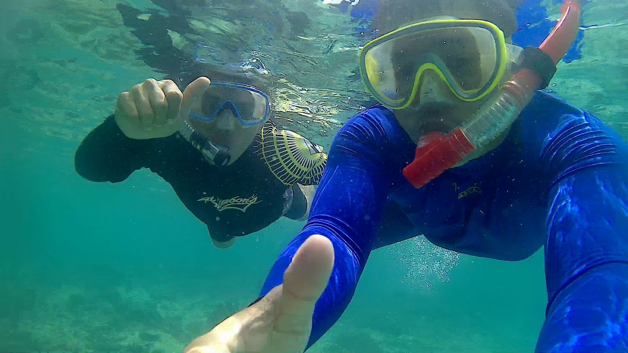 Surga bawah laut, snorkeling derawan #part 1# - YouTube