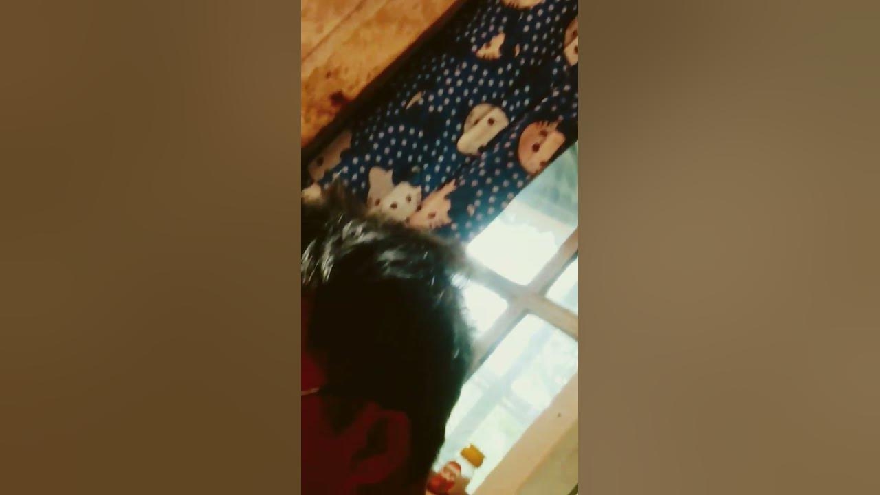 abyzar malik dan kakek Dasep - YouTube