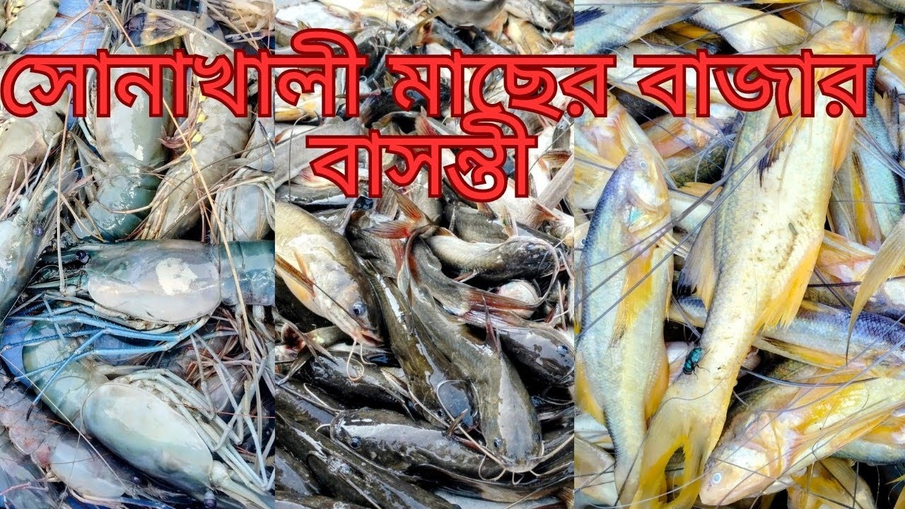 সোনাখালী মাছের বাজার বাসন্তী 2024 || Sonakhali Fish Market Basanti # ...