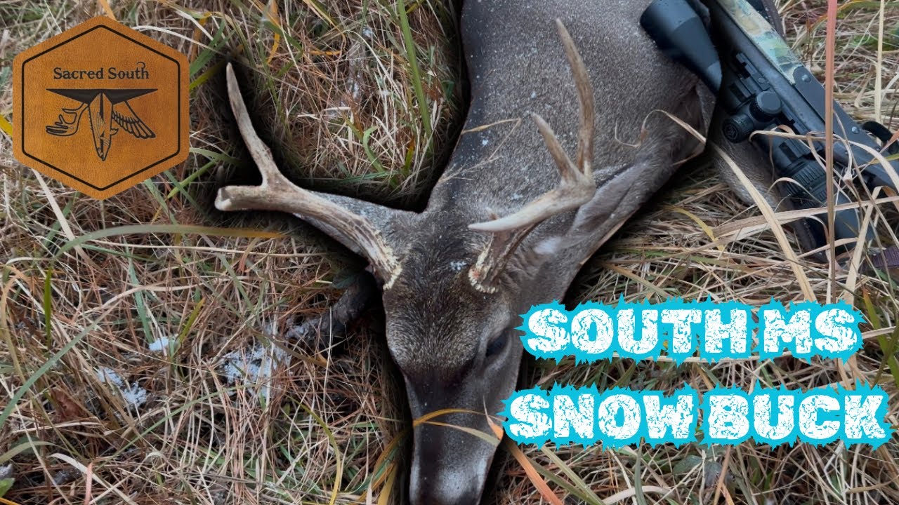 BUCK DOWN IN THE SNOW | Mississippi HUNTING public land | 2025 ...
