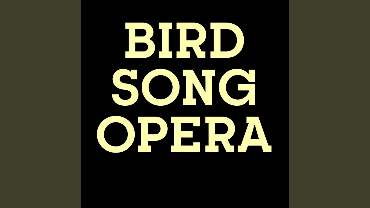 Bird Song Opera - YouTube