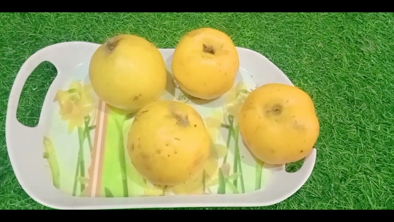 Quince Apple Murabba|| Behi ka Murabba || tasty healthy - YouTube
