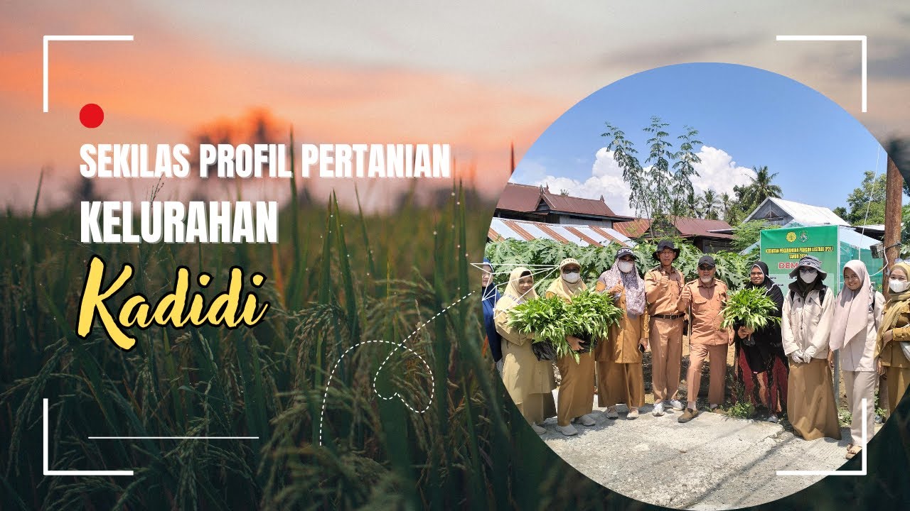 SEKILAS TENTANG PERTANIAN DI KELURAHAN KADIDI #BPPPANCARIJANG # ...