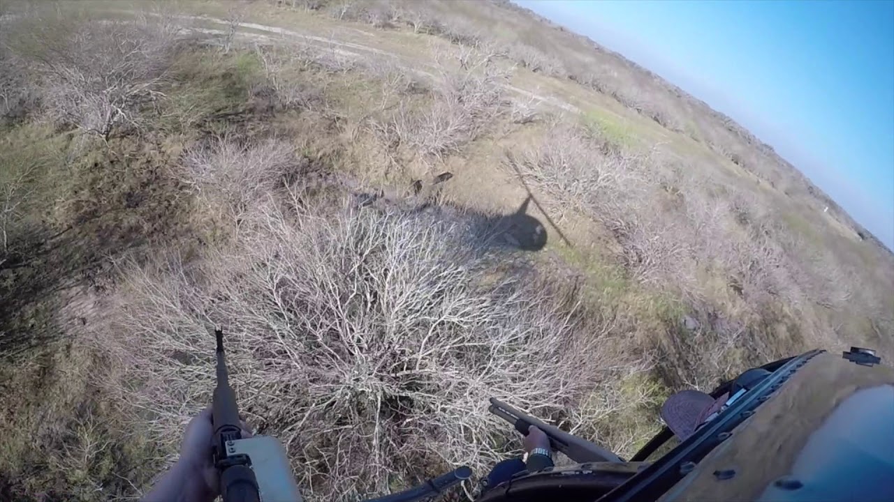 2017 Texas Helicopter Hog Hunt - YouTube