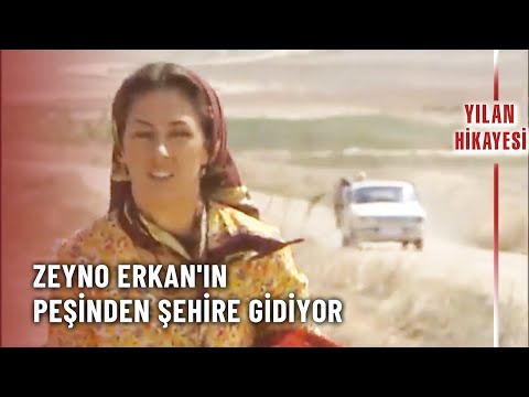 Zeyno, Erkan'ın Peşine Düşüyor - Yılan Hikayesi Özel Klip