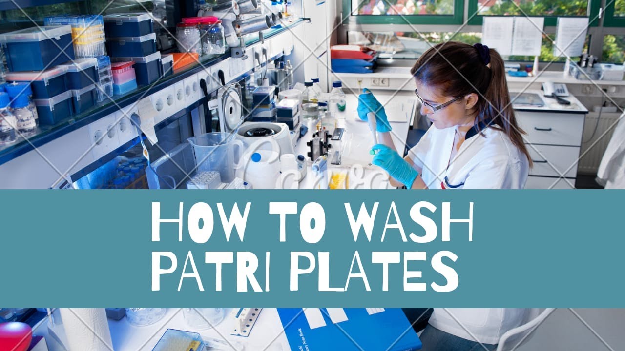 Patri dishes. How to wash petri plates. - YouTube