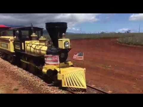 Dole Plantation Pineapple Express Train Ride - YouTube