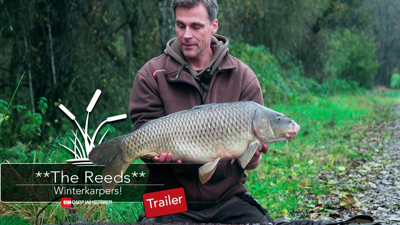 The Reeds - trailer, zeer binnenkort de film van een prachtig ...