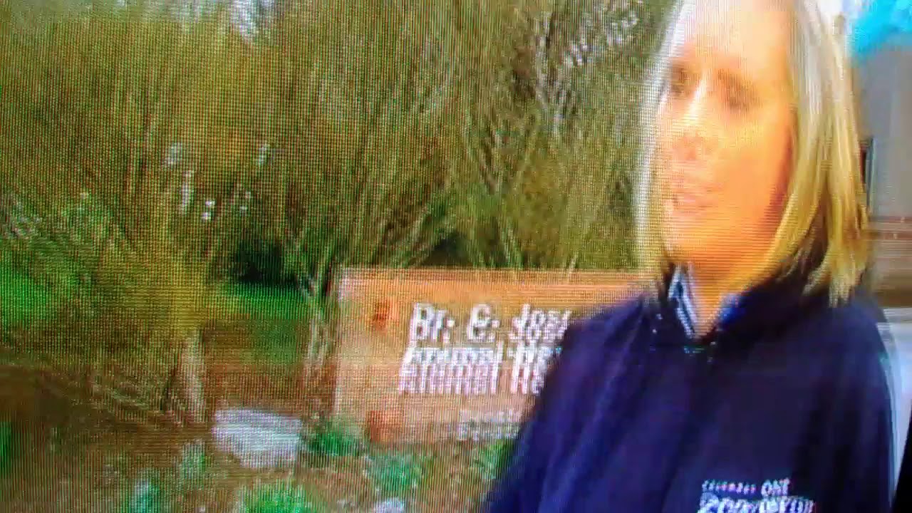 one magnificent morning is going to be cancelled in 2021 part 1 - YouTube