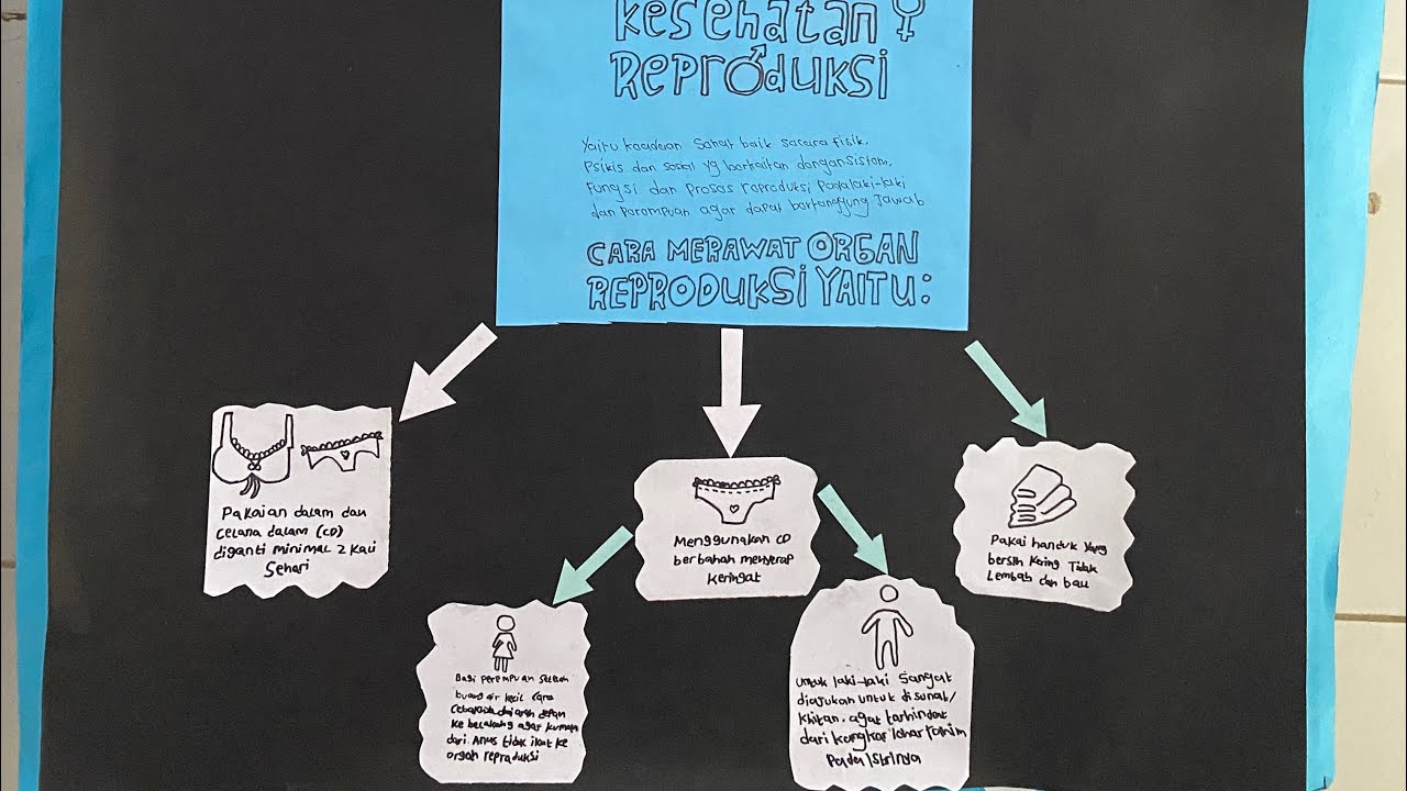 Kelas 9A Kelompok 4 Proses Membuat Poster Tentang Cara Merawat Organ ...