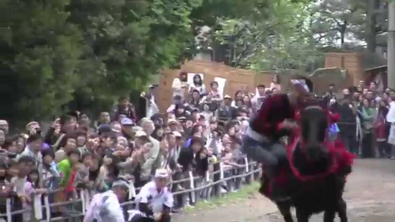 Japanese Trick Horseriding - Kakeuma Shinji at Fujinomori Shrine, Kyoto ...