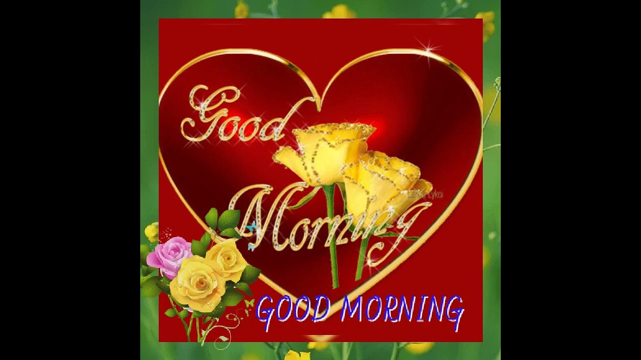 good morning cover song - YouTube