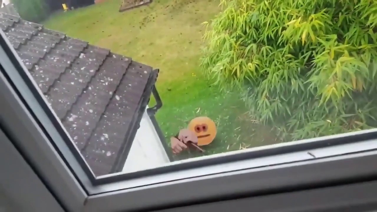 You Haved Failed the vibe check - YouTube