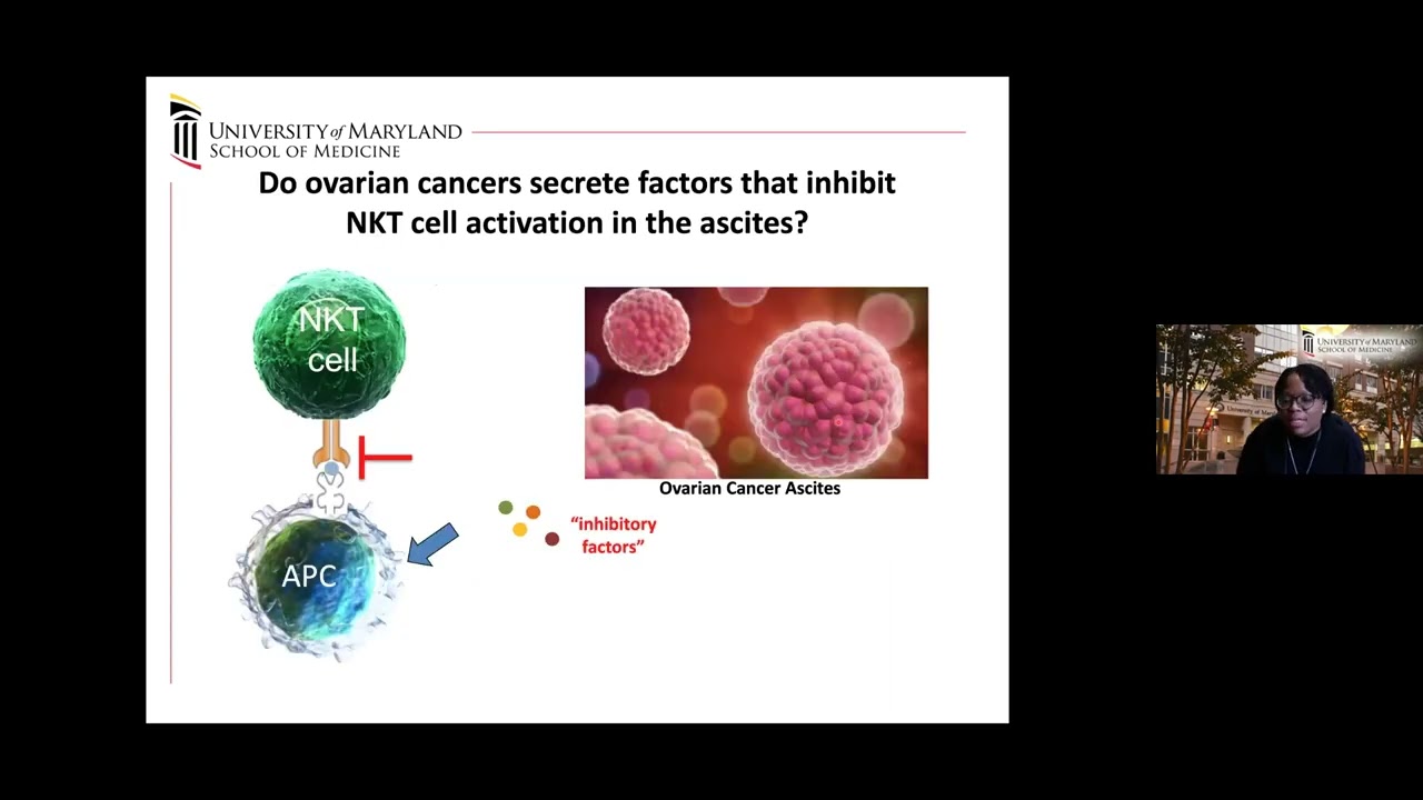 NKT Cell Development and Activation: Implications in Cancer ...