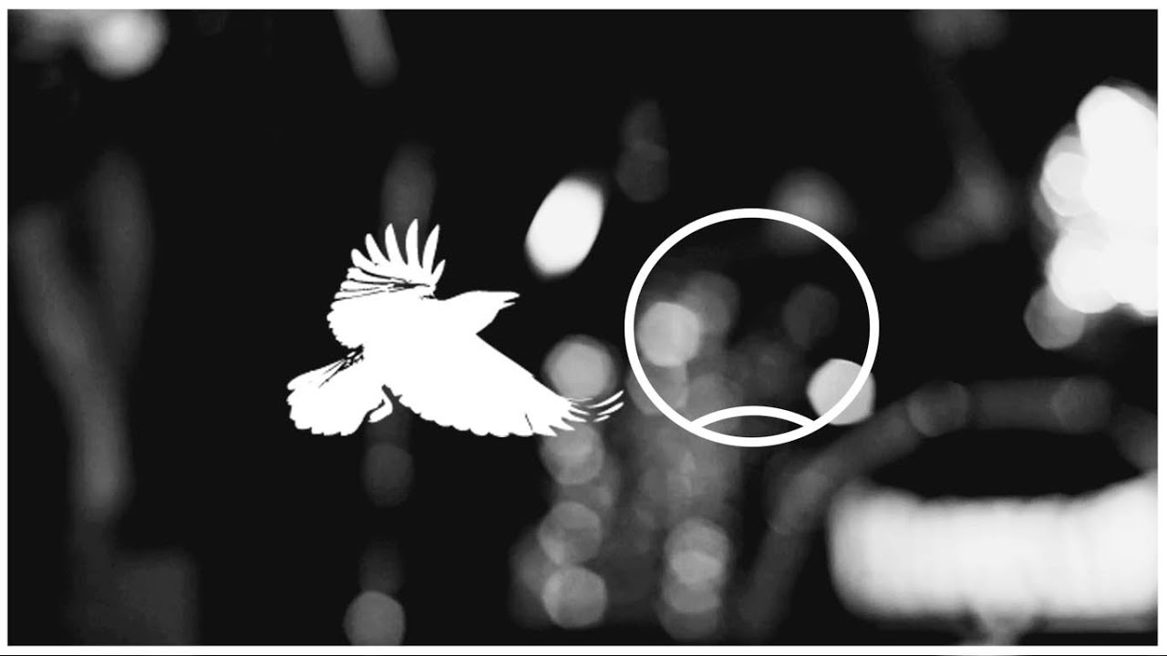 Introducing: Crowsaw - YouTube