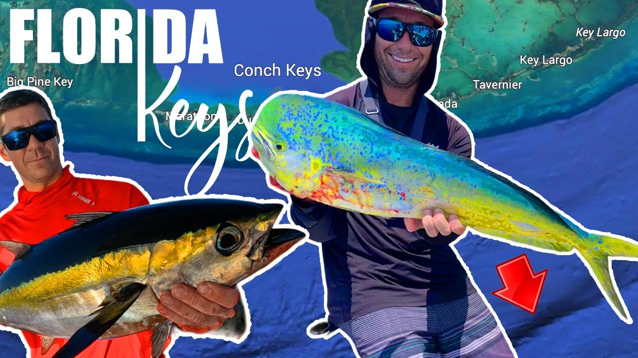 Mahi Mahi Tuna Florida Keys - YouTube