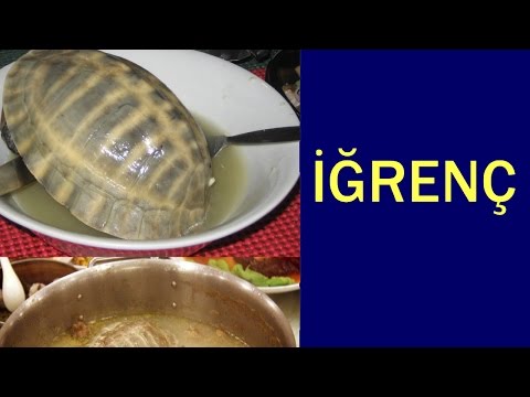 Dünyadaki İğrenç Yiyecekler