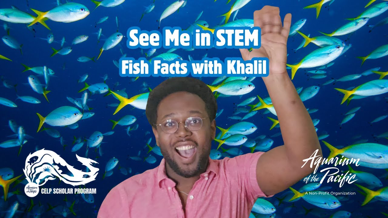 See Me in STEM: Fish Facts with Khalil - YouTube