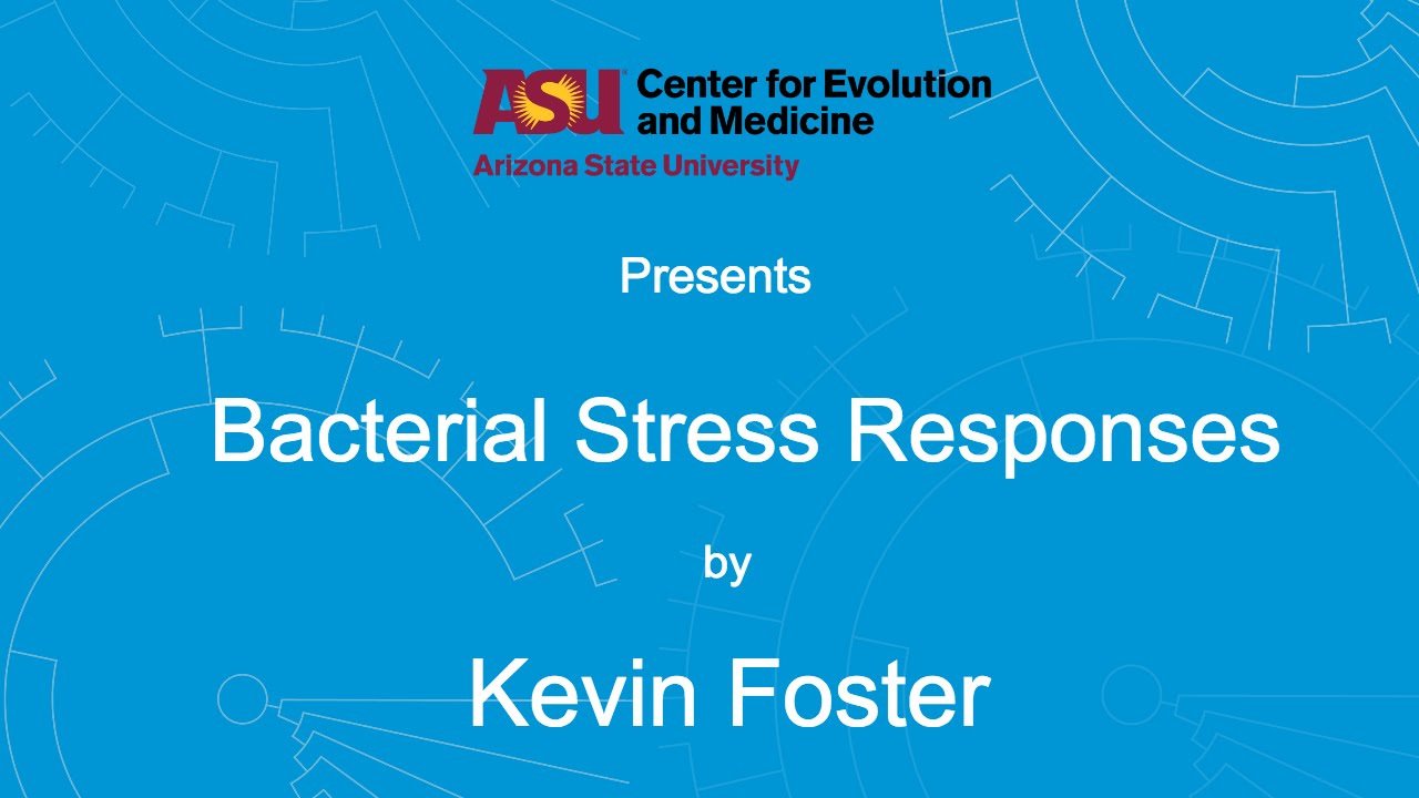 Bacterial Stress Responses | Kevin Foster - YouTube