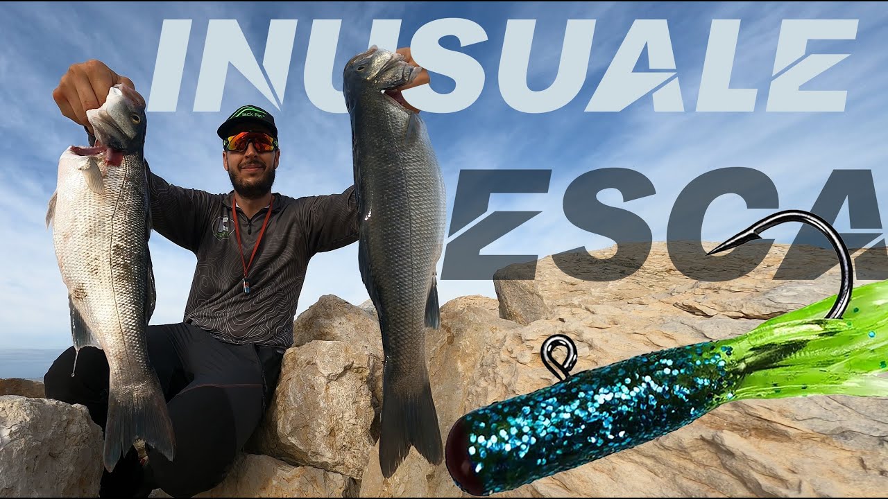 esca incredibile per le spigole _ unusual lure for Seabass - YouTube