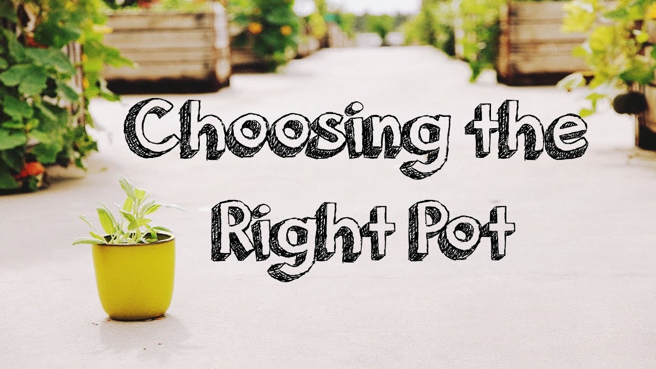 How to Choose the Right Pot - YouTube