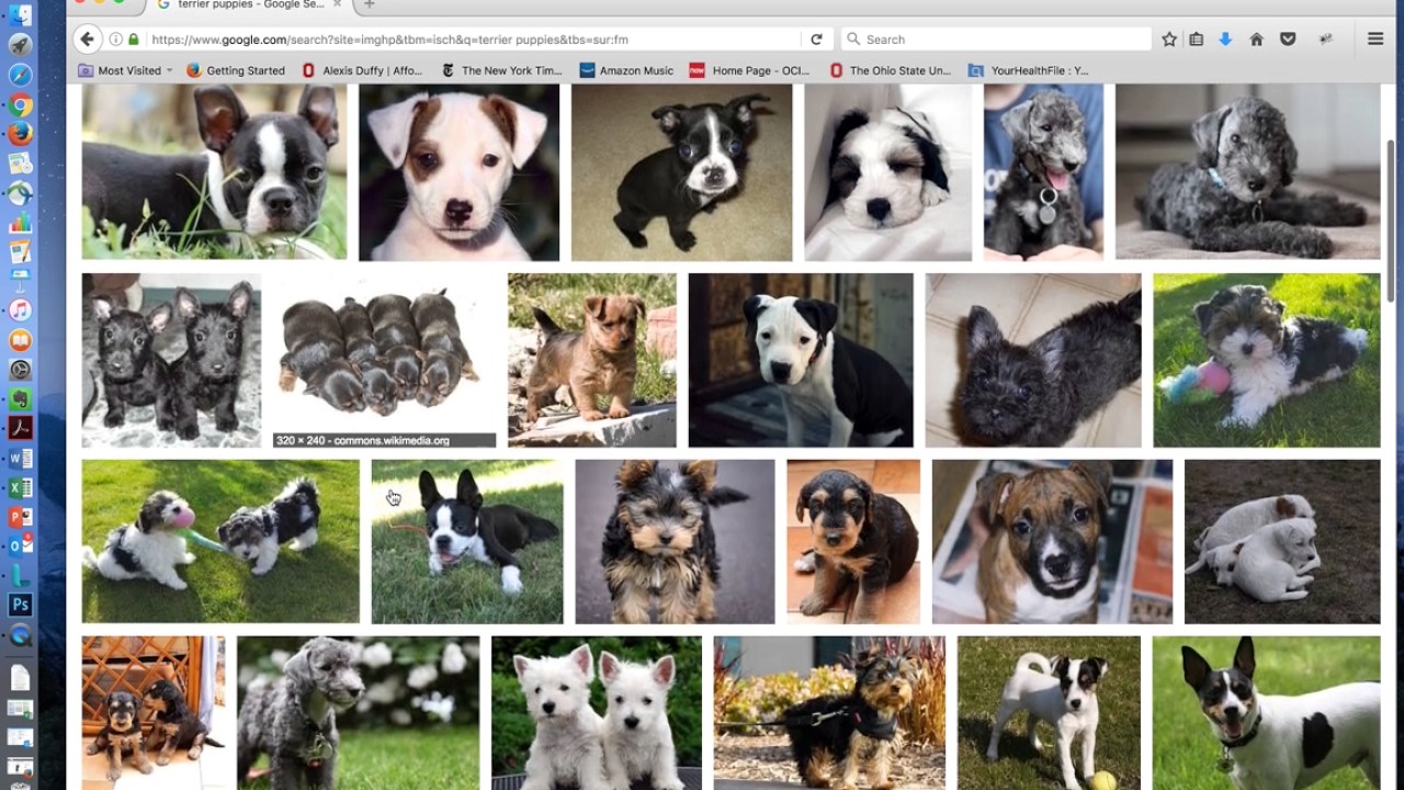 Searching the Creative Commons Library - YouTube