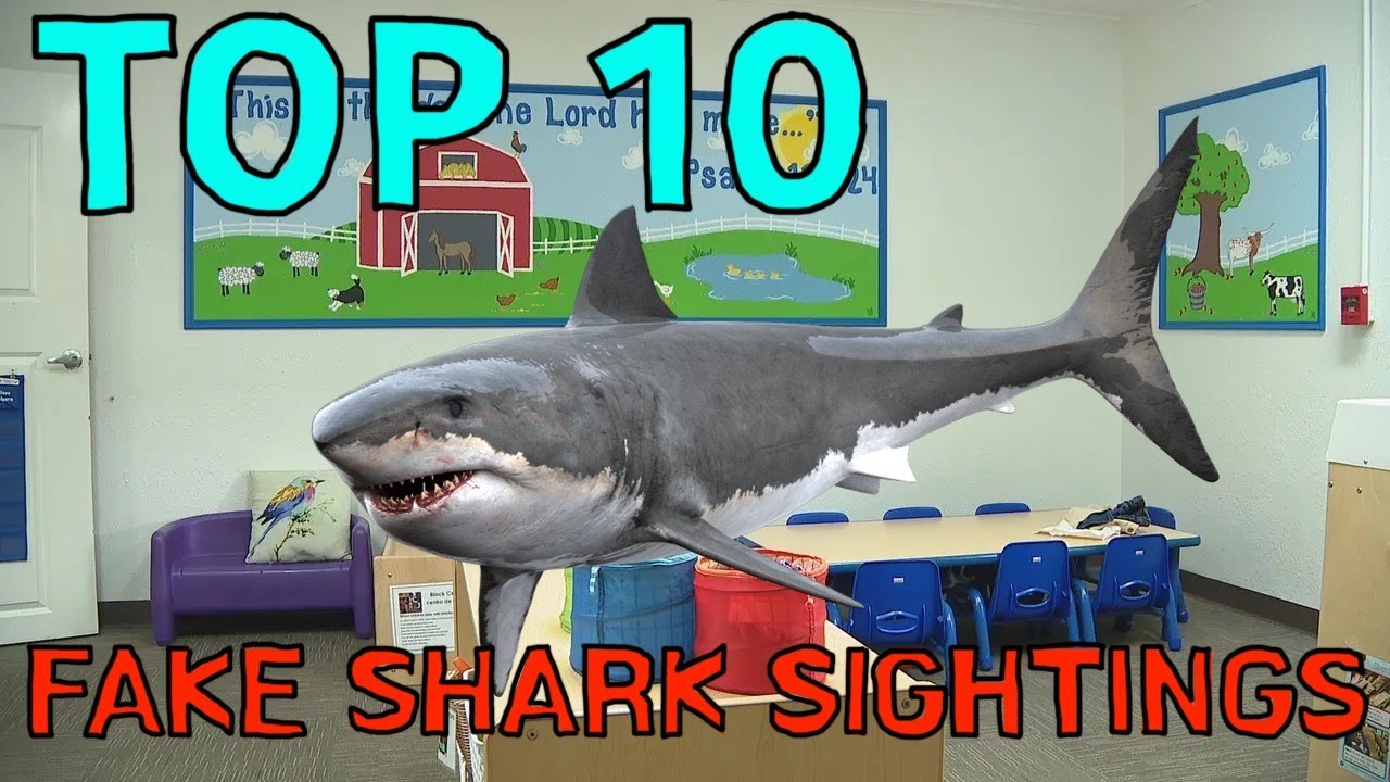 Top 10 Fake Shark Sightings - YouTube